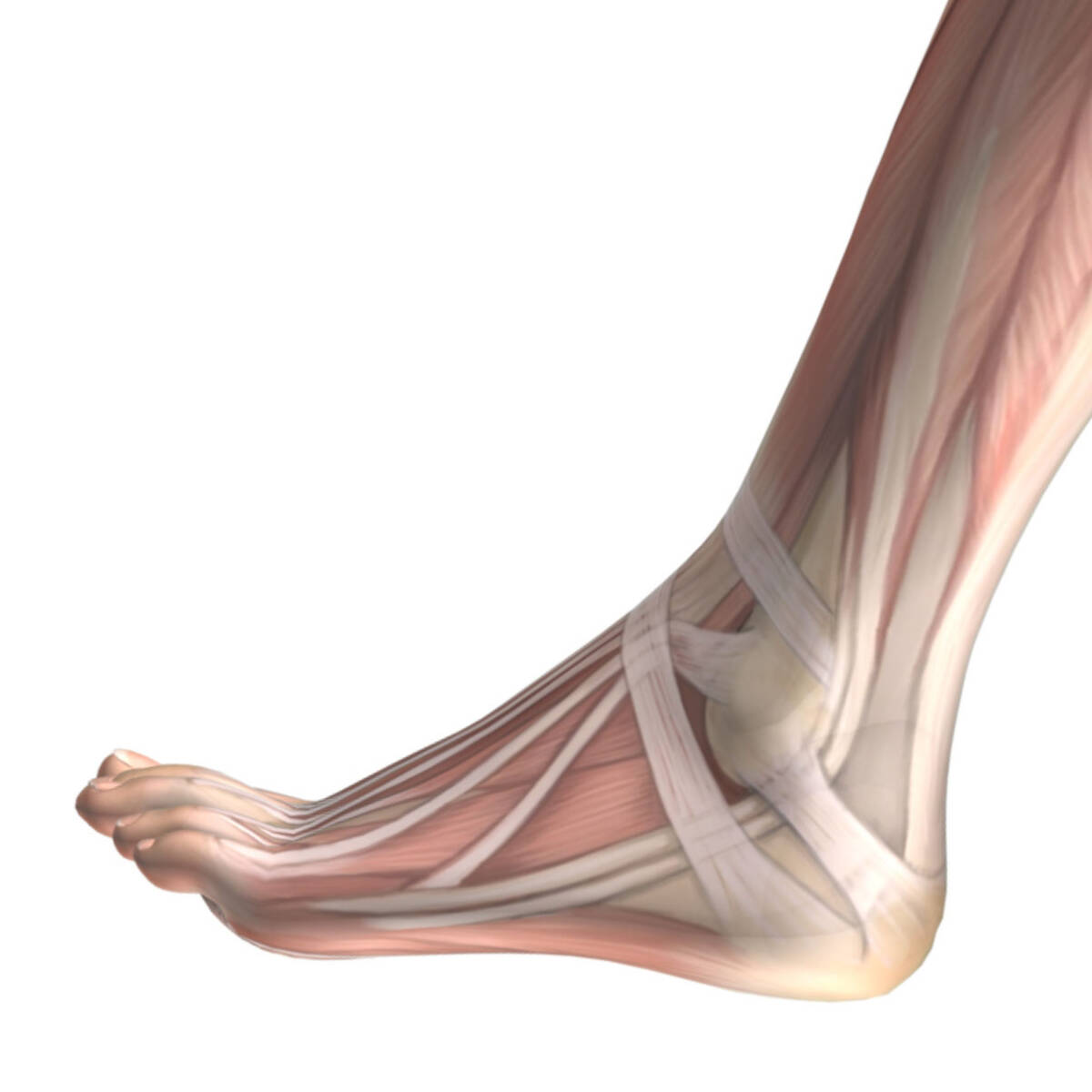 The Ultimate Simple Guide To Sports Injuries - Premier Injuries