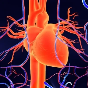 Red & Infrared Light Therapy For Athletes: The Ultimate Simple Guide ...