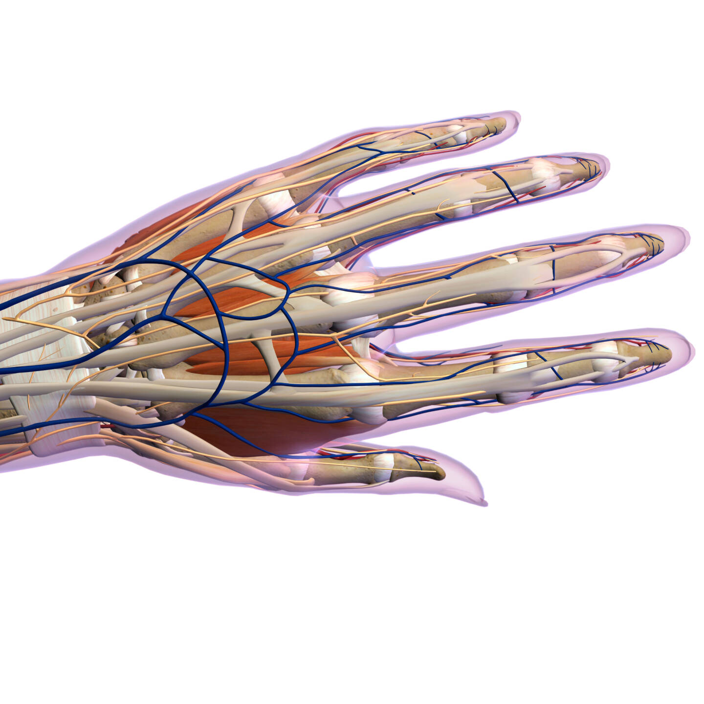 The Ultimate Simple Guide To Sports Injuries - Premier Injuries